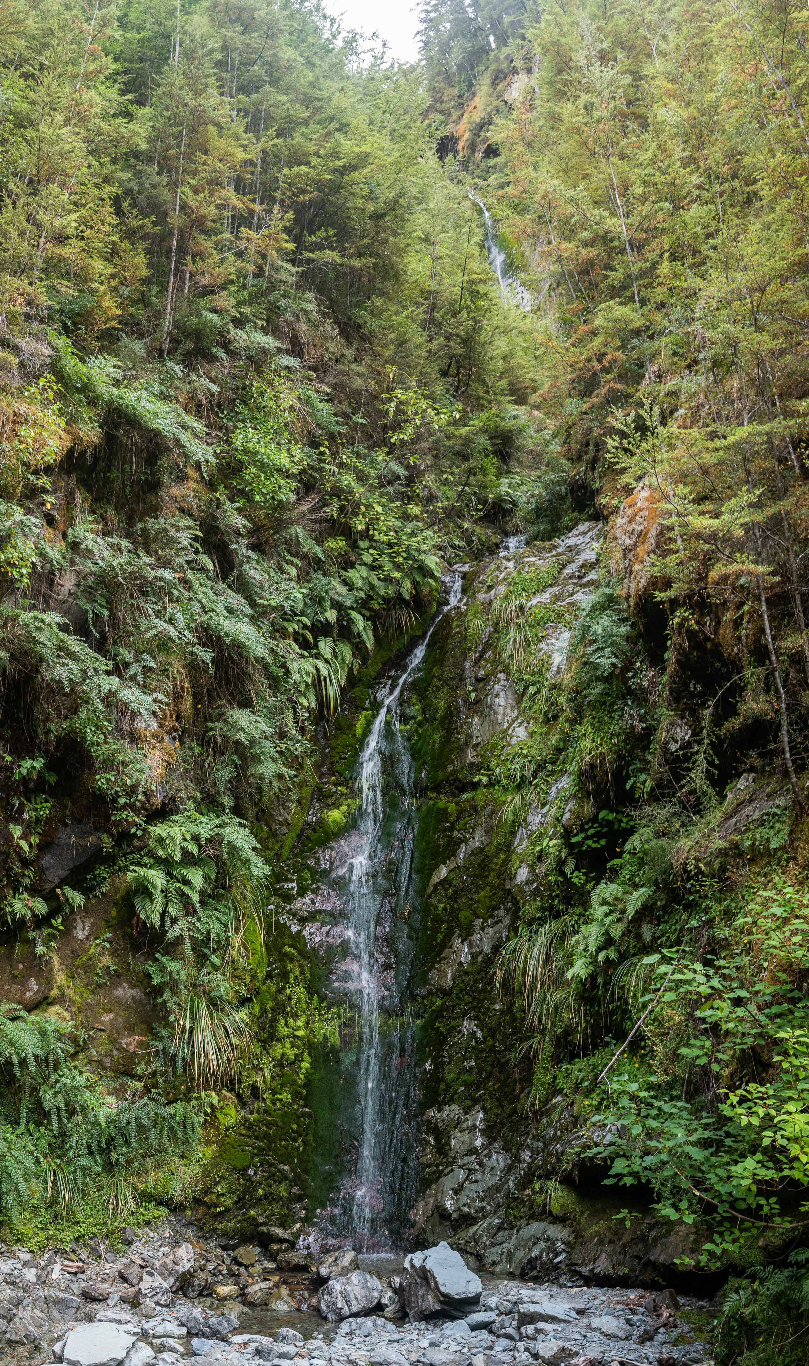 Te Araroa: Greenstone – Adventures of Kadi & Cam