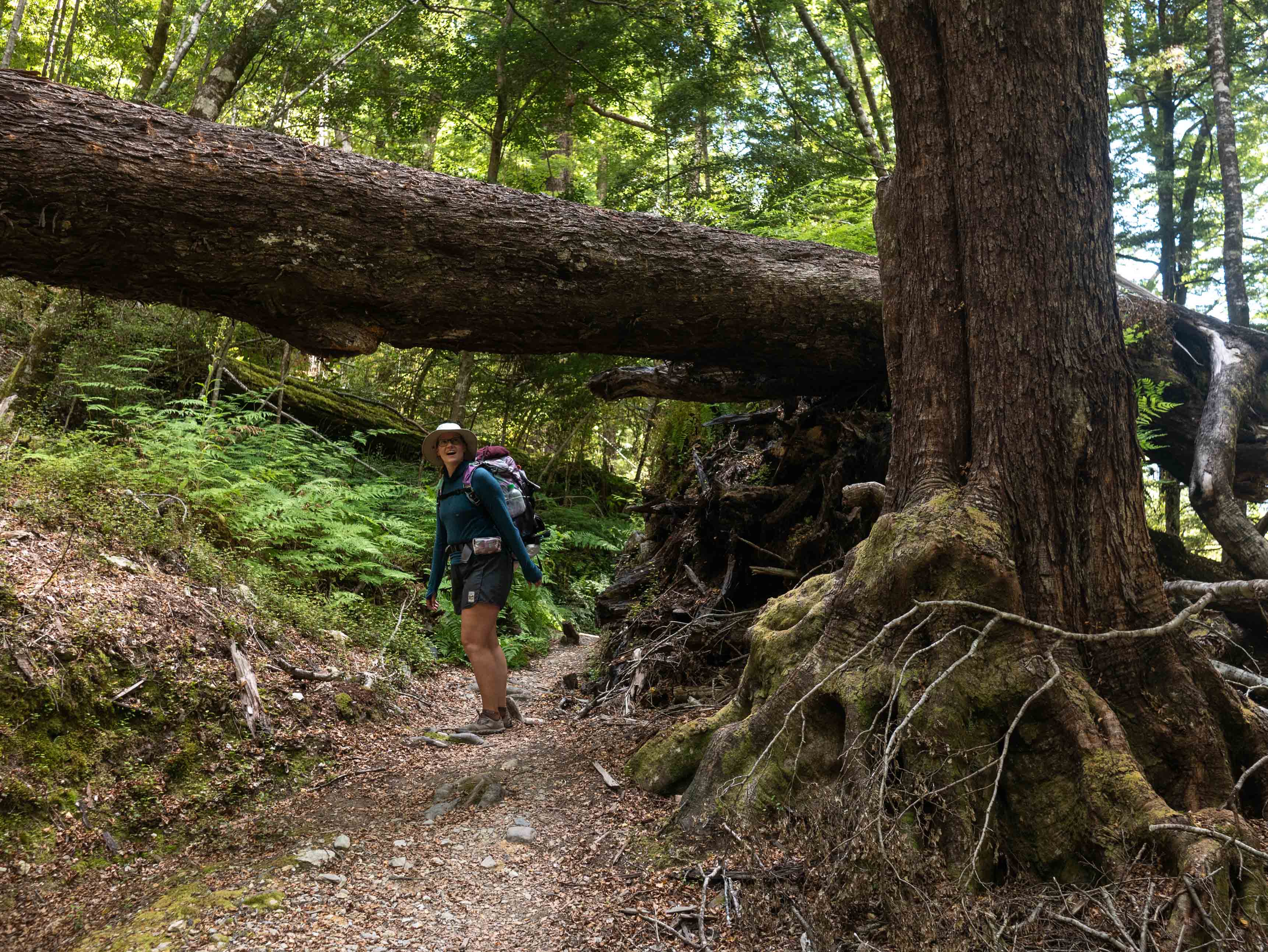 Te Araroa: Greenstone – Adventures of Kadi & Cam