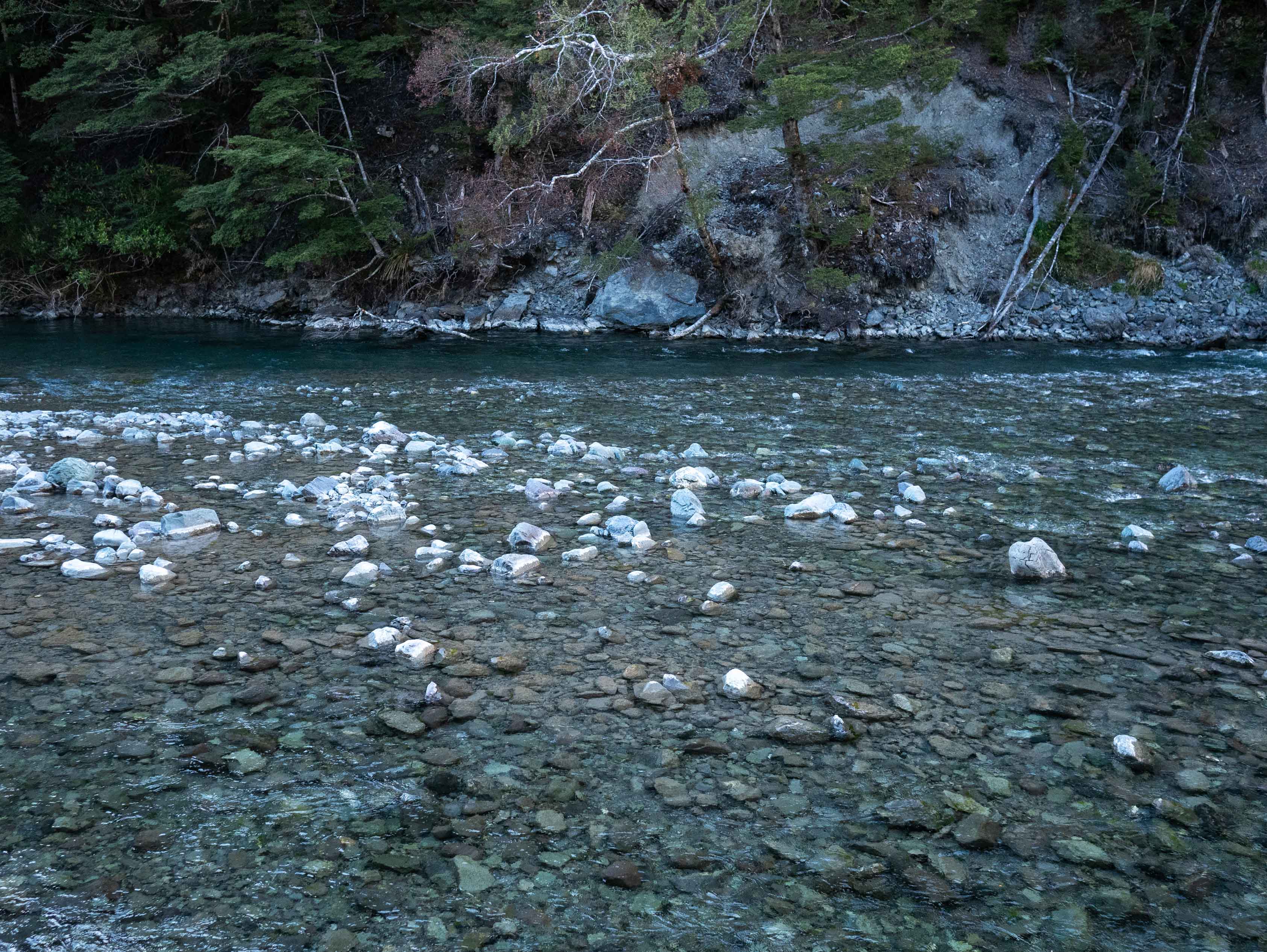 Te Araroa: Greenstone – Adventures of Kadi & Cam